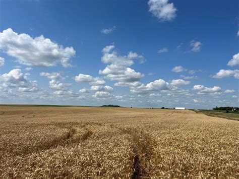 Sold 155 02 Acres Mcpherson County Sd Gill Land Company