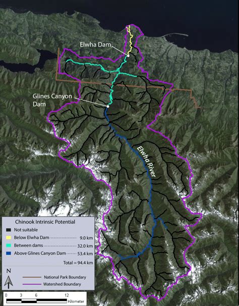 Intrinsic Potential Of Chinook Salmon Distribution In The Elwha River