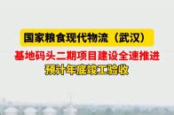 视频国家粮食现代物流武汉基地码头二期项目建设全速推进年底竣工验收 腾讯新闻