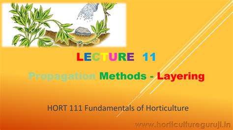 Layering Ppt Horticulture Guruji