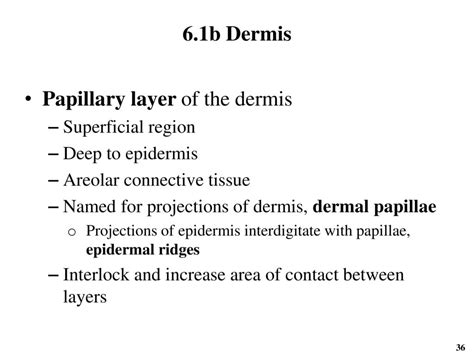 Chapter 06 Lecture Outline Ppt Download