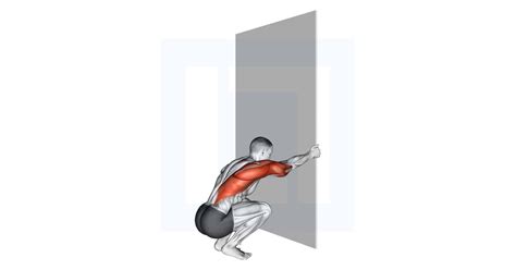 Suspended Row Guide Benefits And Form