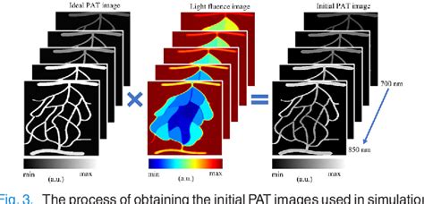 Figure 1 From Multispectral Interlaced Sparse Sampling Photoacoustic Tomography Semantic Scholar