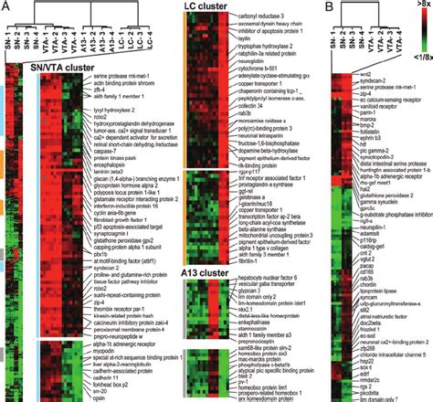 Supervised Cluster Analysis Of Genes With Differential Expression Download Scientific Diagram
