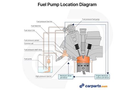 Where Is The Fuel Pump Control Module Located At Gene Courtney Blog