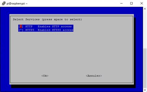 tutos eu installer domoticz sur un raspberry pi