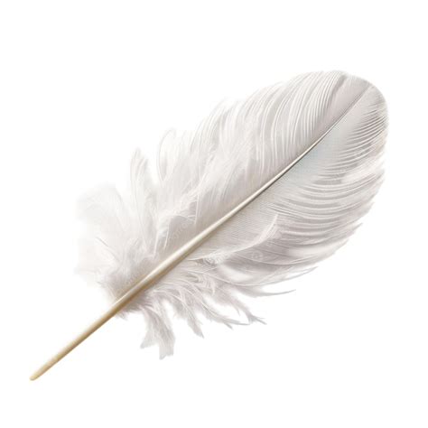 White Feather Soft Texture White Feather Soft Texture Feather Png