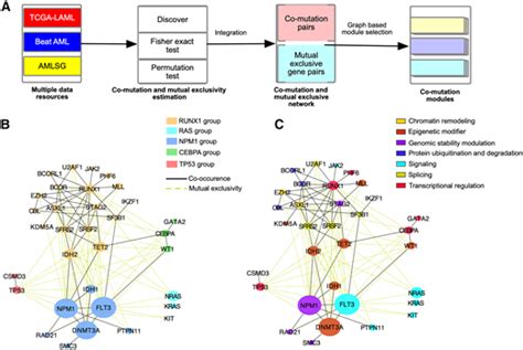 Mutation Patterns Predict Drug Sensitivity In Acute Myeloid Leukemia Clinical Cancer Research