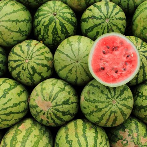 Our Most Refreshing And Juicy Harlo Flavor Watermelon Salt Drink Harlo