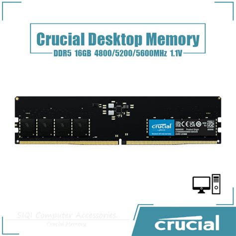 crucial 16gb ddr5 4800mhz 5200mhz 5600mhz desktop ram memory built in