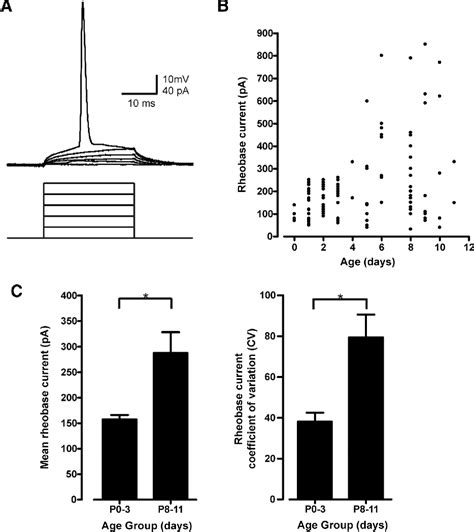 Figure 1 From Diversification Of Intrinsic Motoneuron Electrical Properties During Normal