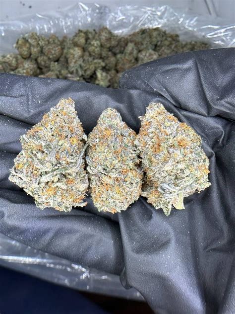 Truffle Gas Rsdweed