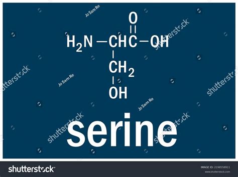 Serine Amino Acid Stock Vector (Royalty Free) 2198558911 | Shutterstock
