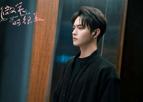 Falling Into Your Smile Xu Kai Puzzle Factory