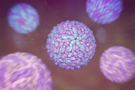 вирусы денге 3d иллюстрация штока иллюстрации насчитывающей словотолкование 287387729