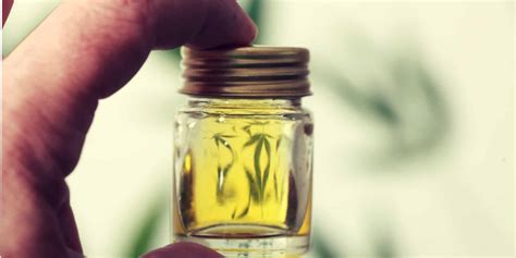 Cbd And Testosterone Remarkable Benefits Worth Checking Out