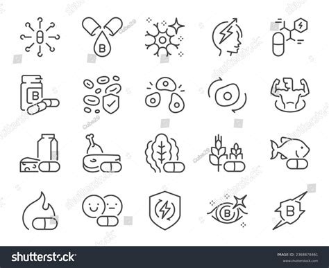 비타민 B 아이콘 세트 그것은 에너지 스톡 벡터로열티 프리 2368678461 Shutterstock