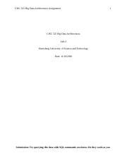 Assignment Docx CISC Big Data Architectures Assignment CISC