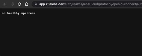 empty screen after application launch · issue 5502 · lensapp lens · github