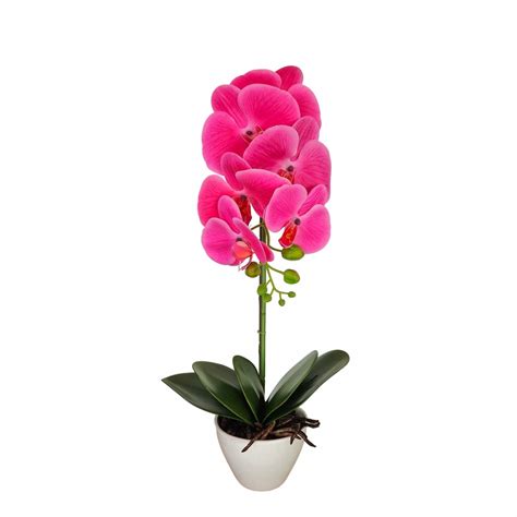 Orhidee Cu Aspect Natural In Ghiveci Ceramic 46 Cm Naimeed D5820 Mov