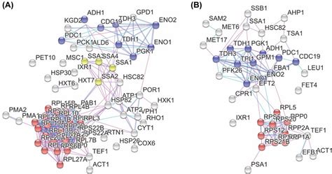Interactome Of Ixr1 Analysis For Functional Enrichment Was Done With