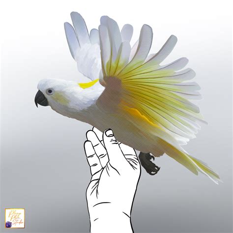 Cockatoo Decal Flying Cockatoo Australian Themed Decor Yellow Crest