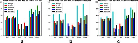 Patch Wise Sensitivity And Accuracy On Initial Extended And