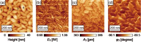 Fig S3 The Bimodal Afm Results On The Pvdf Trfe Film Obtained At Download Scientific Diagram