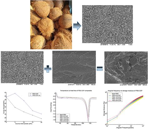 Properties Of Polybutylene Succinate And Polybutylene Succinate Polycaprolactone Based