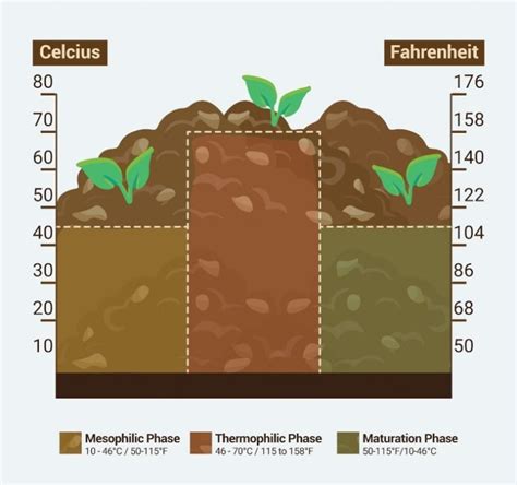 5 Reasons To Let Your Compost Mature For Longer Compost Magazine
