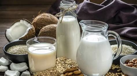 Leites Vegetais Os Benefícios E As Principais Diferenças Entre Eles
