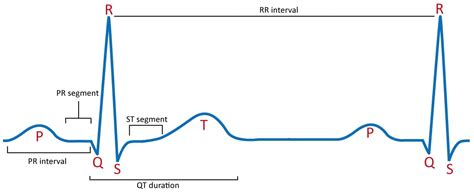 Blending Ensemble Learning Model For 12 Lead Electrocardiogram Based