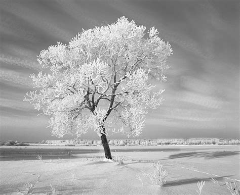 7 способов тонирования фотографий