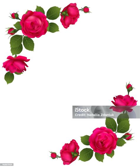 玫瑰花卉背景花花圖案束花瓣紅綠葉芽邊境向量插圖卡向量圖形及更多剪裁圖圖片 剪裁圖 垂直構圖 夏天 Istock