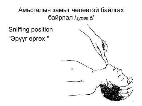 Эрэмбэлэн ангилалт яаралтай тусламж хичээл Pptx