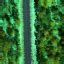 Satellogic EarthView Datasets At Hugging Face