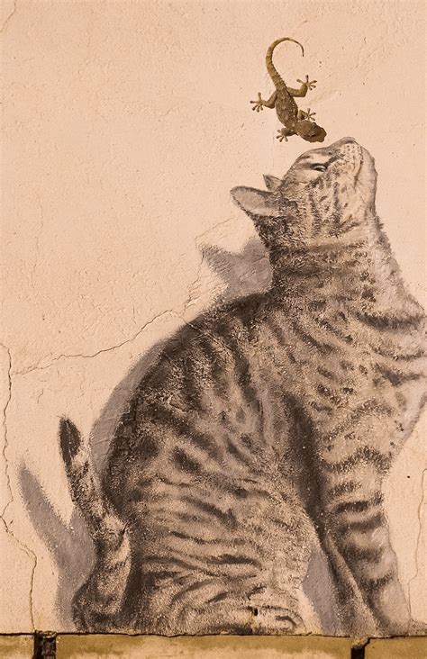 Rare Wildlife Photographs Of Threatened Species Science Sensei