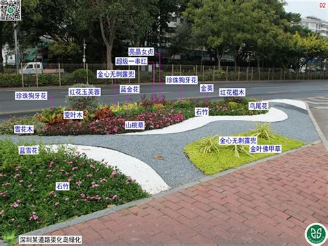 交通岛、道路、花境：深圳道路渠化岛绿化2022年1月