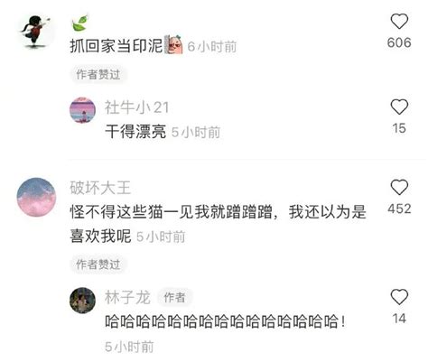 男友被绿茶撩了？聊天截图意外流出网友：哈哈这波操作刺激！