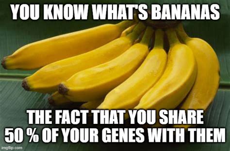 Bananas Meme By Arcgaming91 On Deviantart