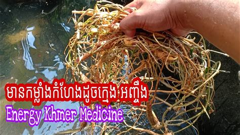 ថ្នាំខ្មែរ ព្យាបាលបុរសខ្សោយផ្លូវភេទ លិង្គទន់ ឆាប់ចេញទឹកកាម យូរជាងមុន Khmer Medicine Youtube