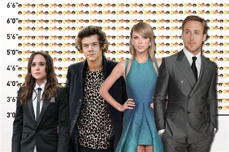 We Measured Some Of Your Favourite Celebrities In Timbits