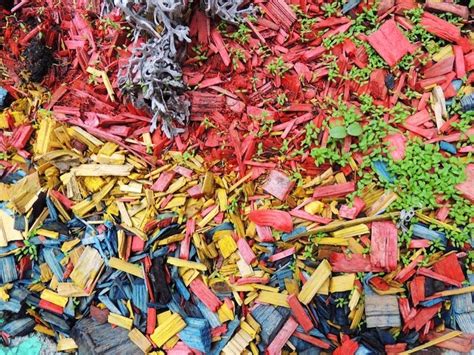 The Complete Guide To Mulch Tips Tricks And Considerations For Beginners