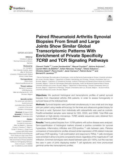 Pdf Paired Rheumatoid Arthritis Synovial Biopsies From Small And