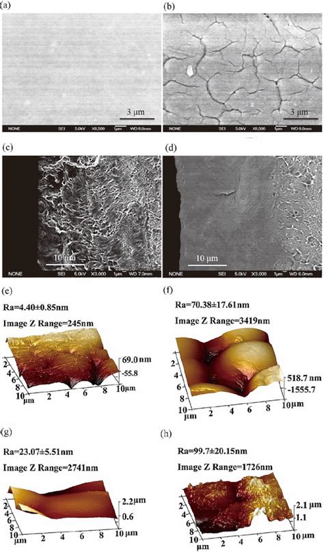 Surface Morphology Of Films Scanning Electron Microscopy Sem Images Download Scientific