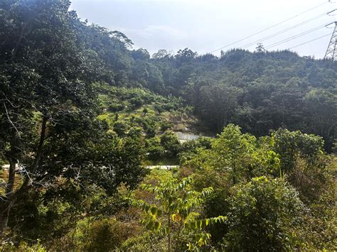 南投中寮便宜農地 南投縣中寮鄉買房子、房屋出售 樂屋網