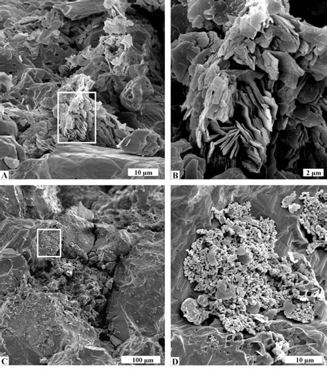 A Newly Formed Phyllosilicate Minerals Most Likely Kaolinite Resting