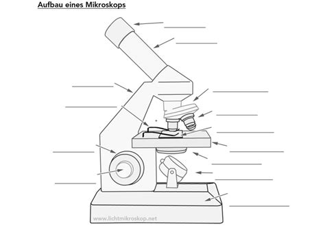 Schaubild „aubau Mikroskop“ Quizlet