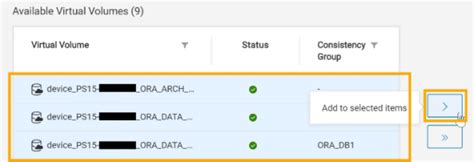 expose the metro node virtual volume to the storage views dell