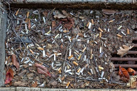 Gutter Drain After Rain Full Of Cigarette Butts Stock Image Image Of